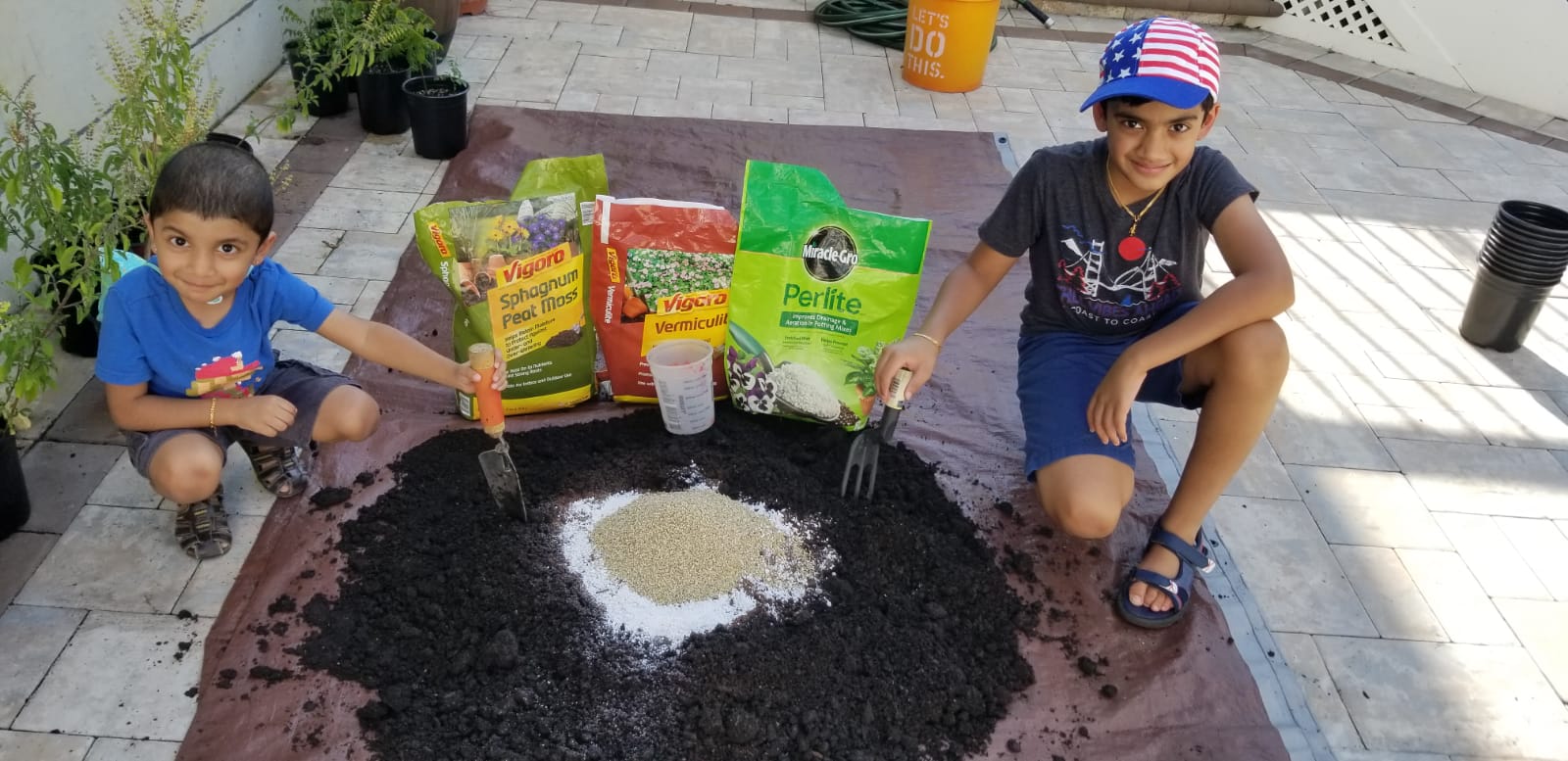 Akshu and Yashwa raised $100 by selling curry leaves plants | Charity ...